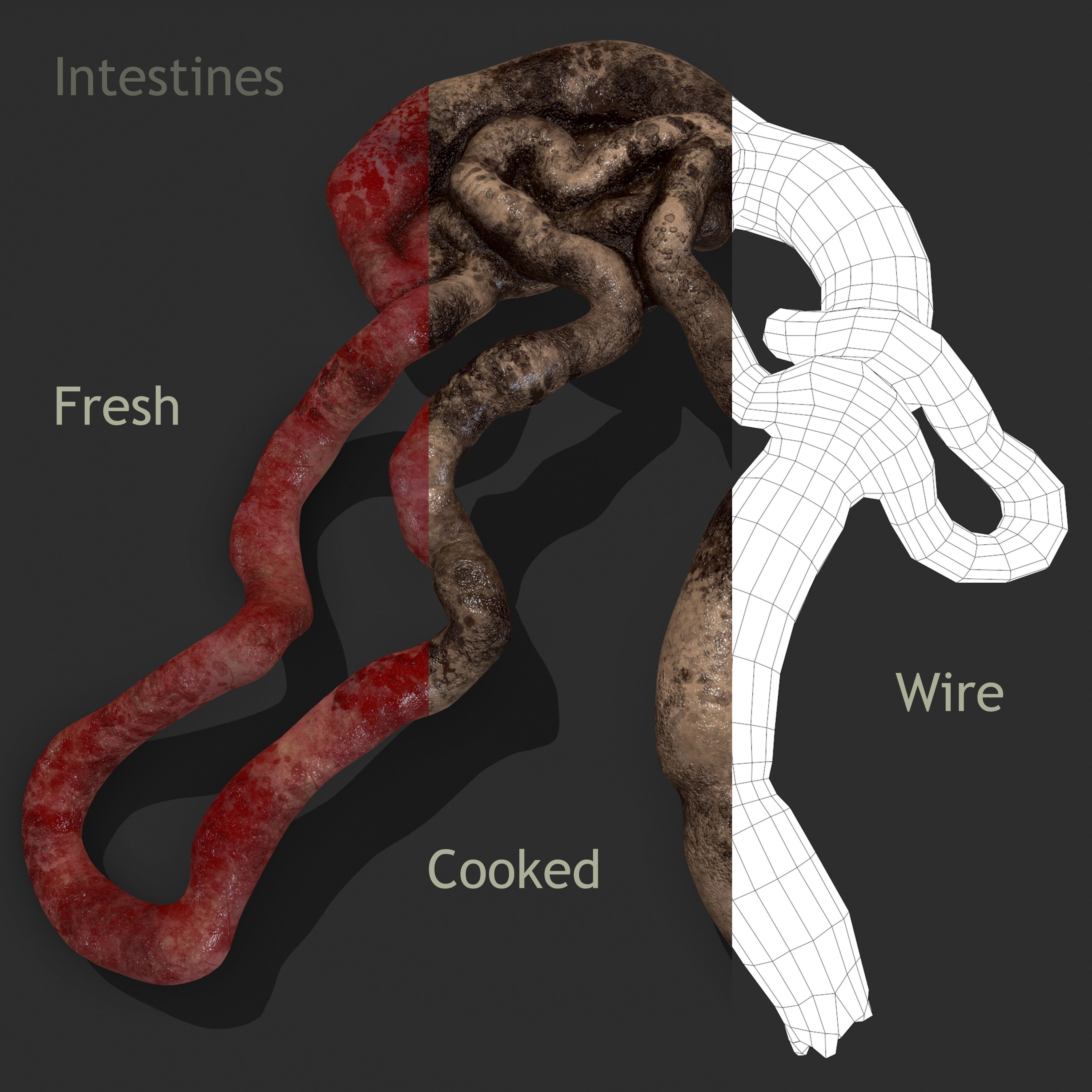 3D model Intestines Pile Horror Prop VR / AR / low-poly | CGTrader