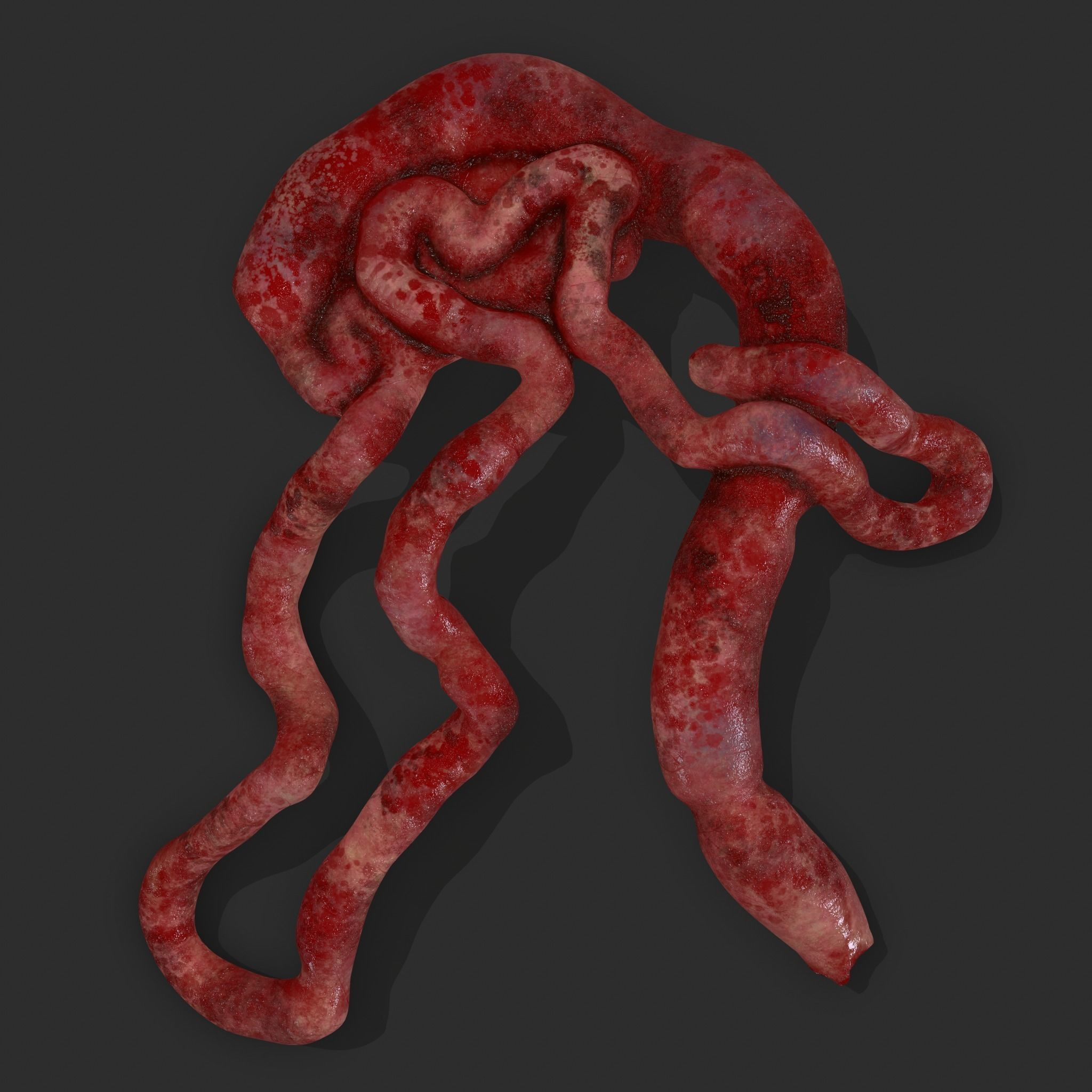3D model Intestines Pile Horror Prop VR / AR / low-poly | CGTrader