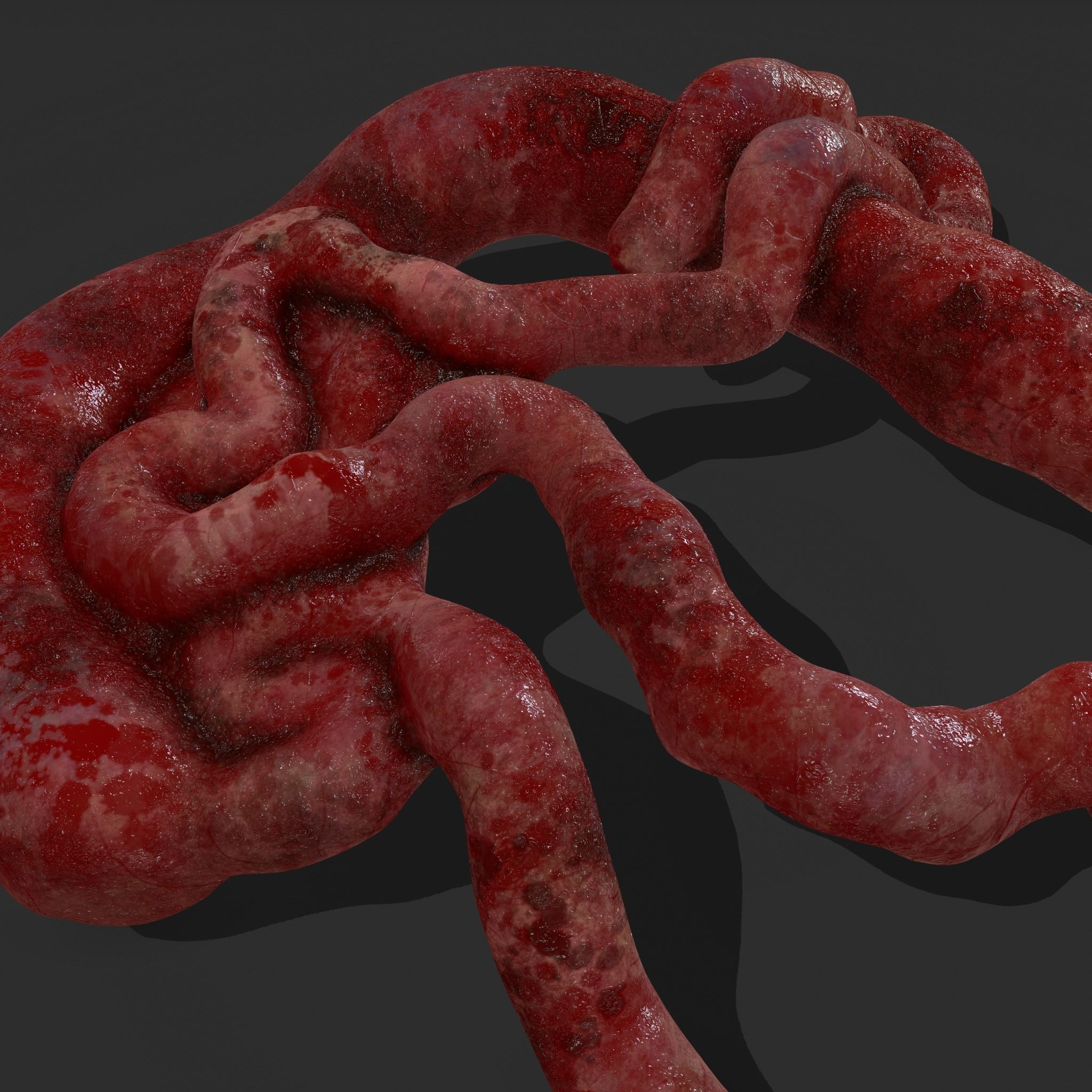 3D model Intestines Pile Horror Prop VR / AR / low-poly | CGTrader