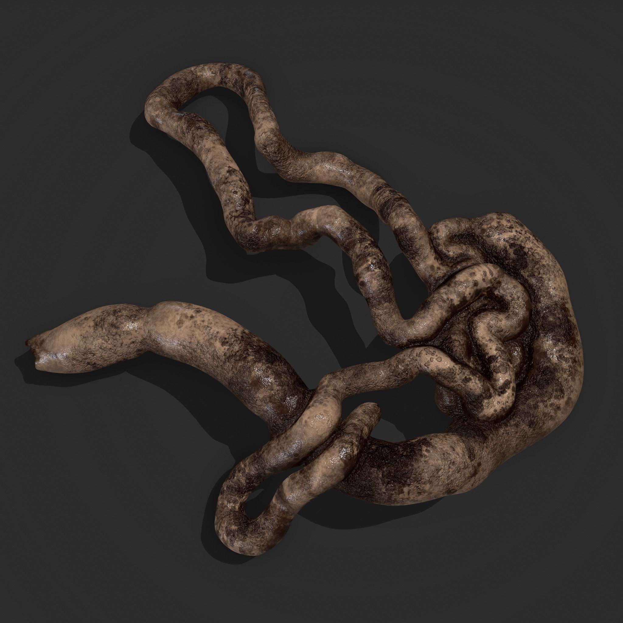 3D model Intestines Pile Horror Prop VR / AR / low-poly | CGTrader
