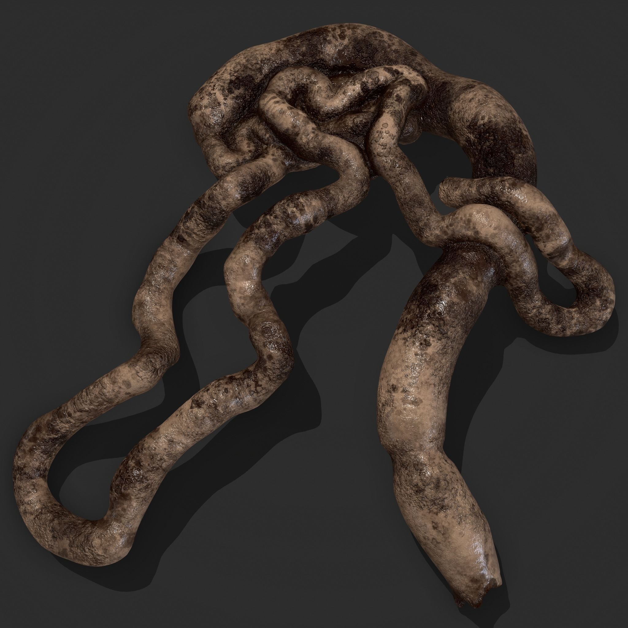 3D model Intestines Pile Horror Prop VR / AR / low-poly | CGTrader