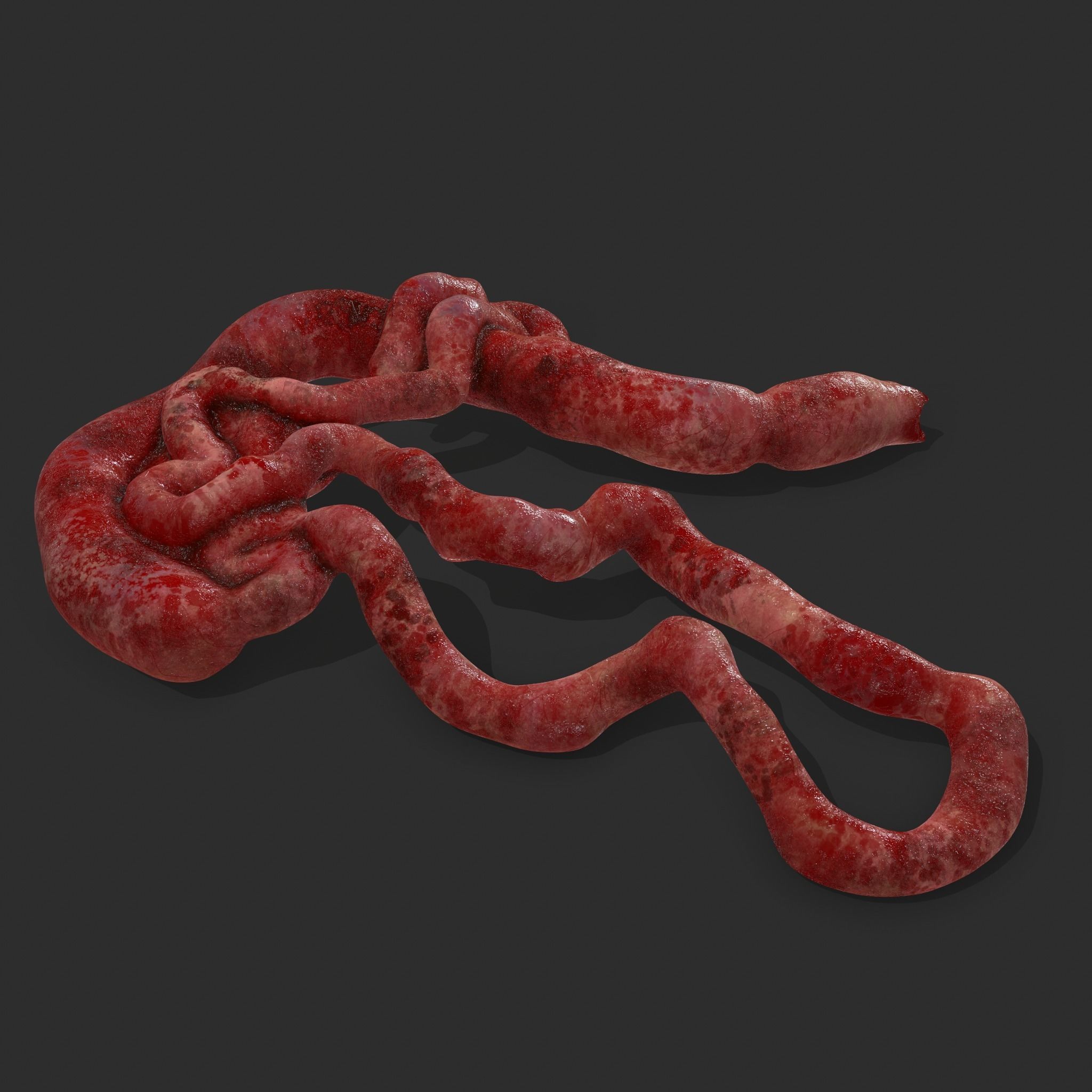 3D model Intestines Pile Horror Prop VR / AR / low-poly | CGTrader