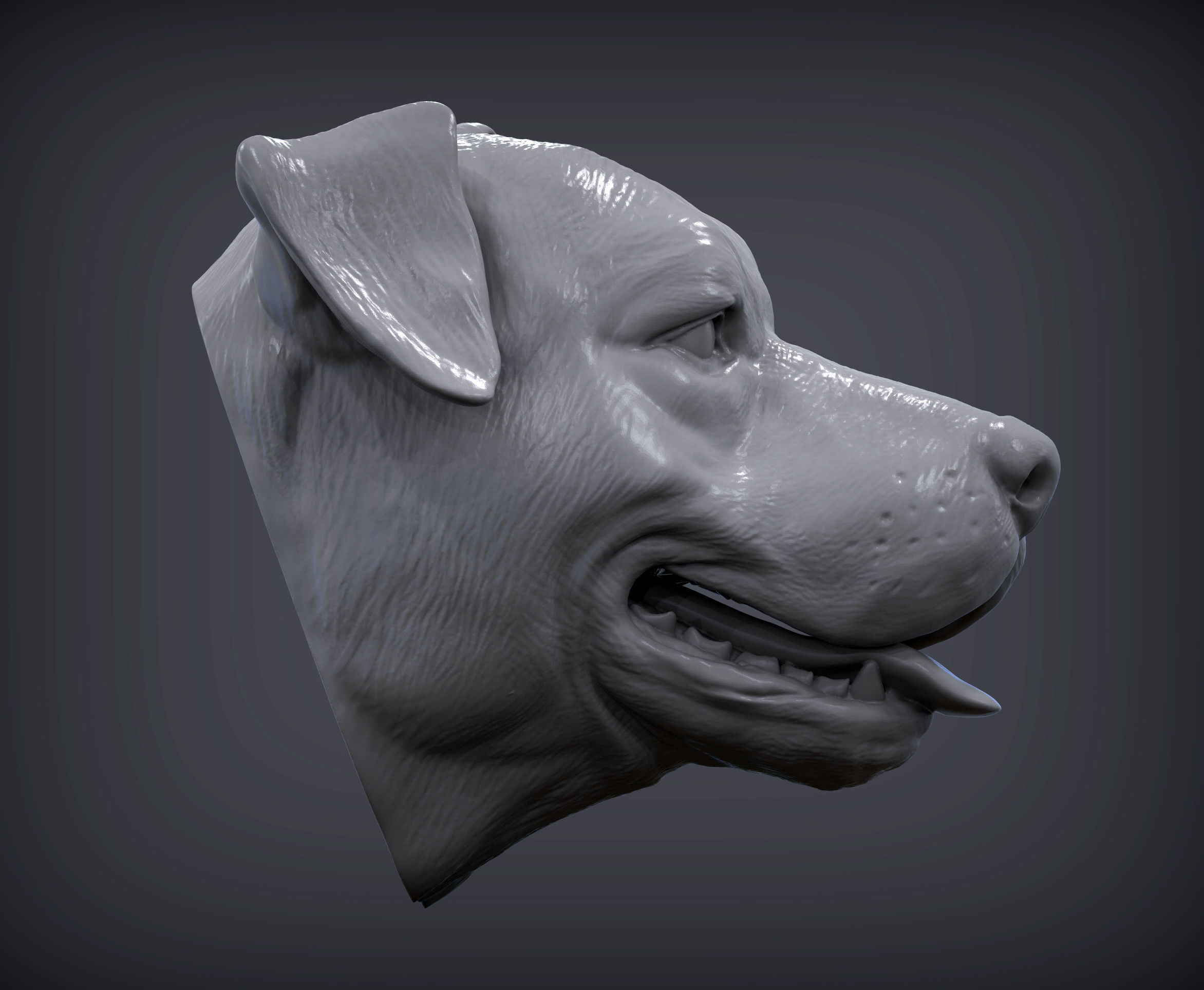 Pit bull head 3D model 3D printable | CGTrader
