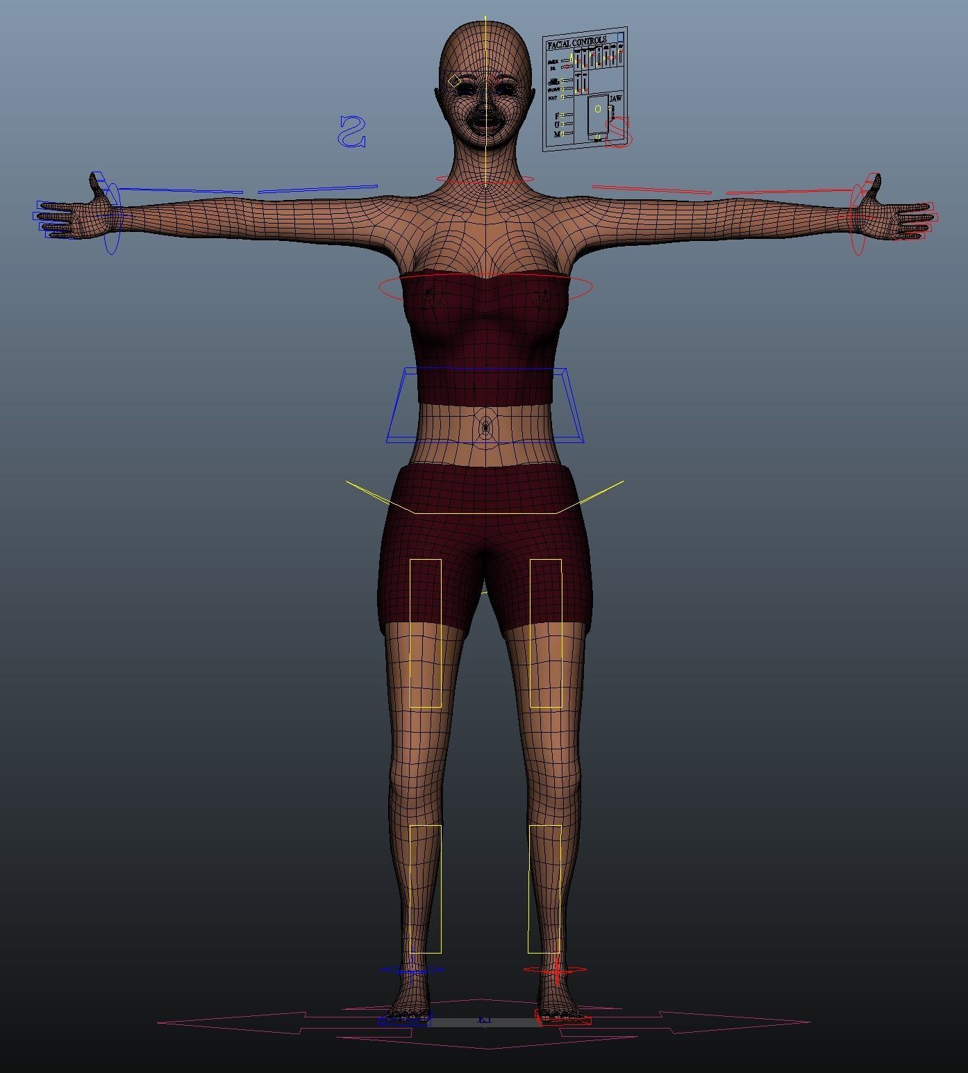 Female Woman Girl Character Rigged MAYA 2020 free 3D model rigged ...