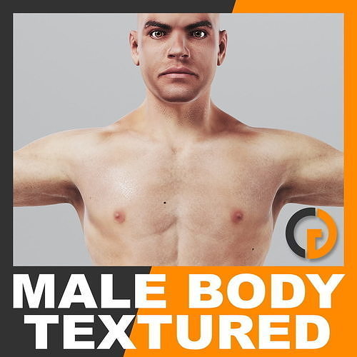 Human Male Body Textured - Anatomy 3D model | CGTrader