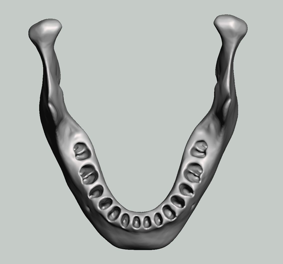 Human anatomy skull fit to teeth library 3D model 3D printable | CGTrader