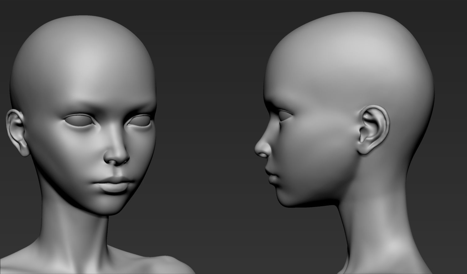 Anatomy female basemesh 3D model 3D model | CGTrader