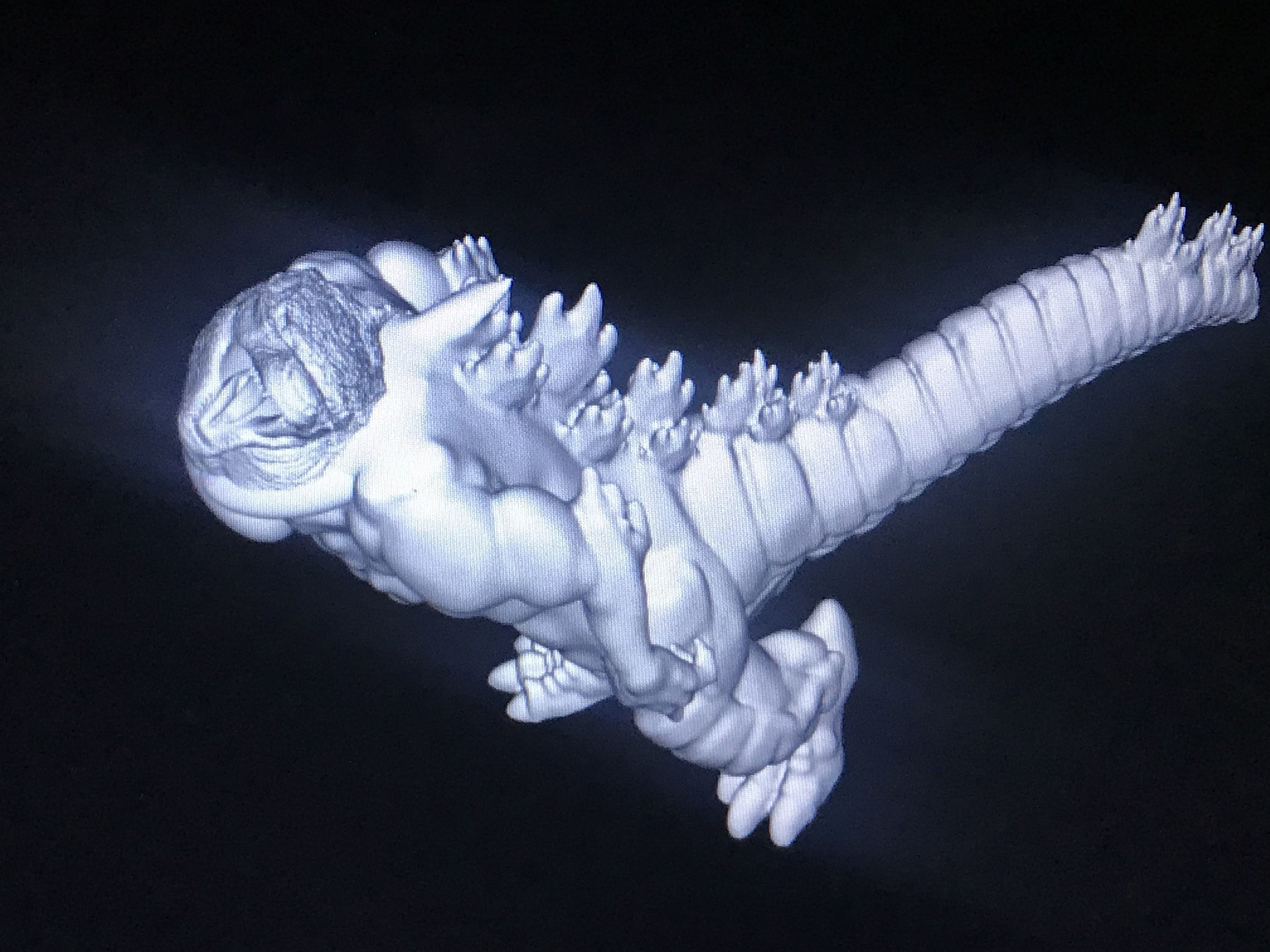 godzilla flying 3D model 3D printable | CGTrader