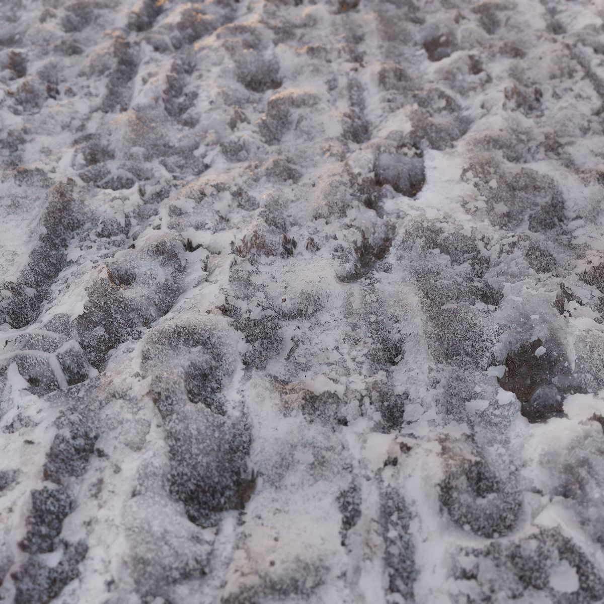 Wet Snow PBR Texture Texture | CGTrader