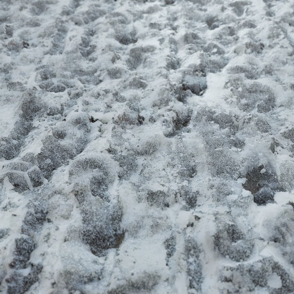 Wet Snow PBR Texture Texture | CGTrader