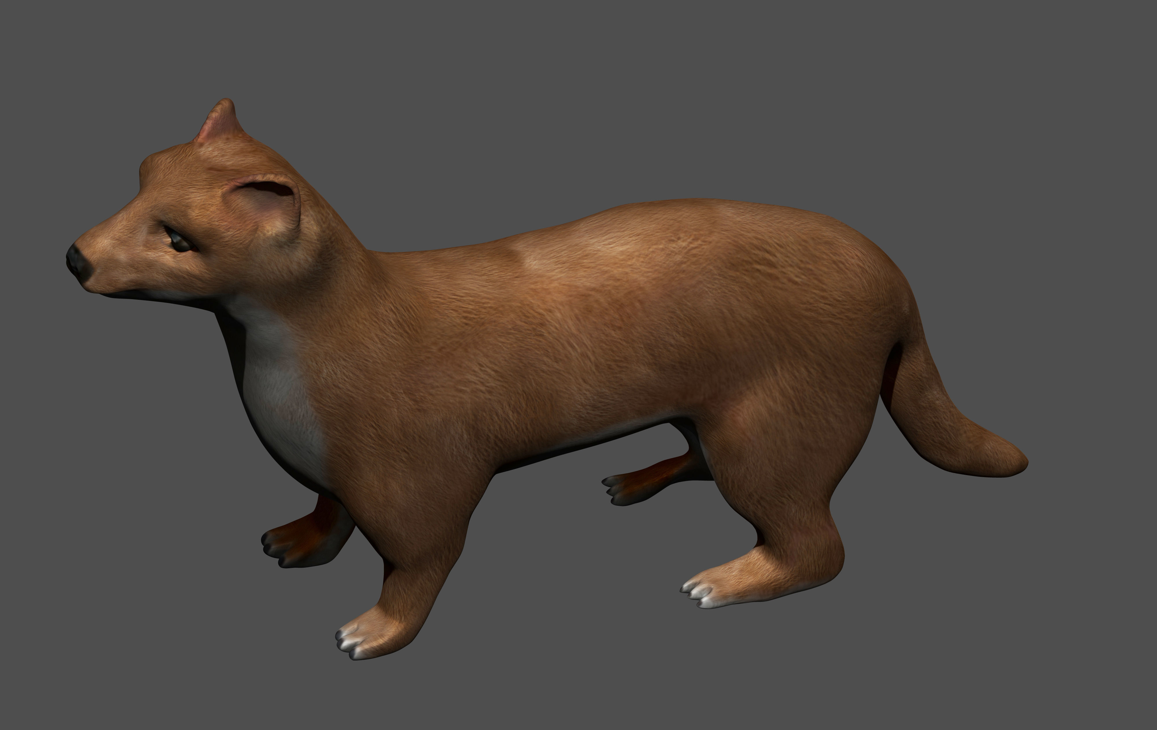 3D model Weasel VR / AR / low-poly rigged | CGTrader