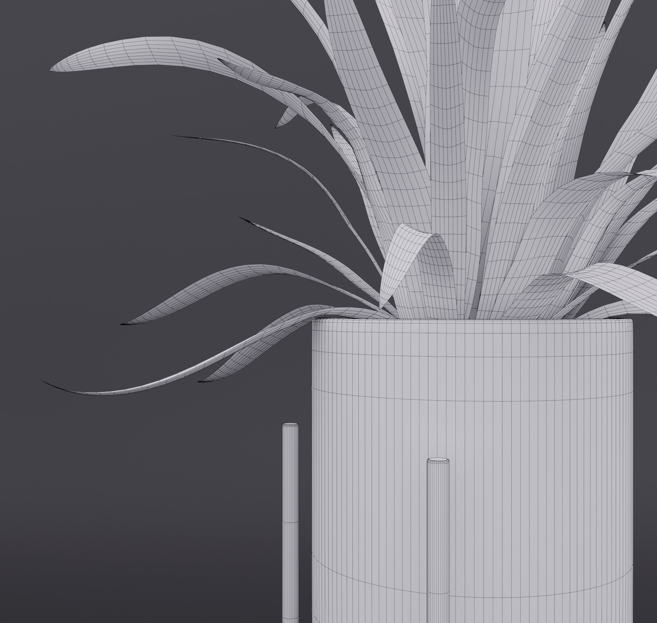 Yucca home plant 3D model | CGTrader
