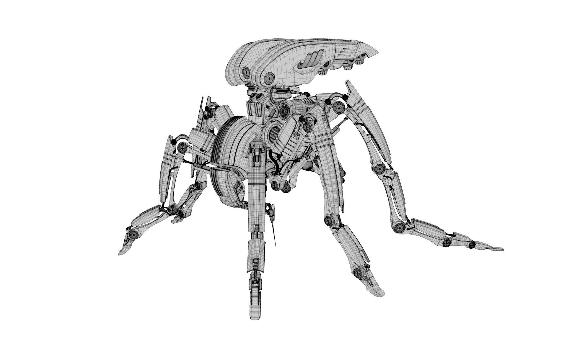 Robot insects pack 3D model 3D printable | CGTrader