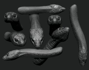 Snake 3D Models | CGTrader