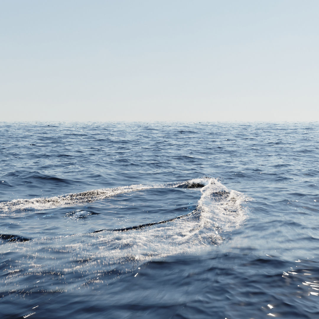 Ocean Animation Presets 3D model animated | CGTrader