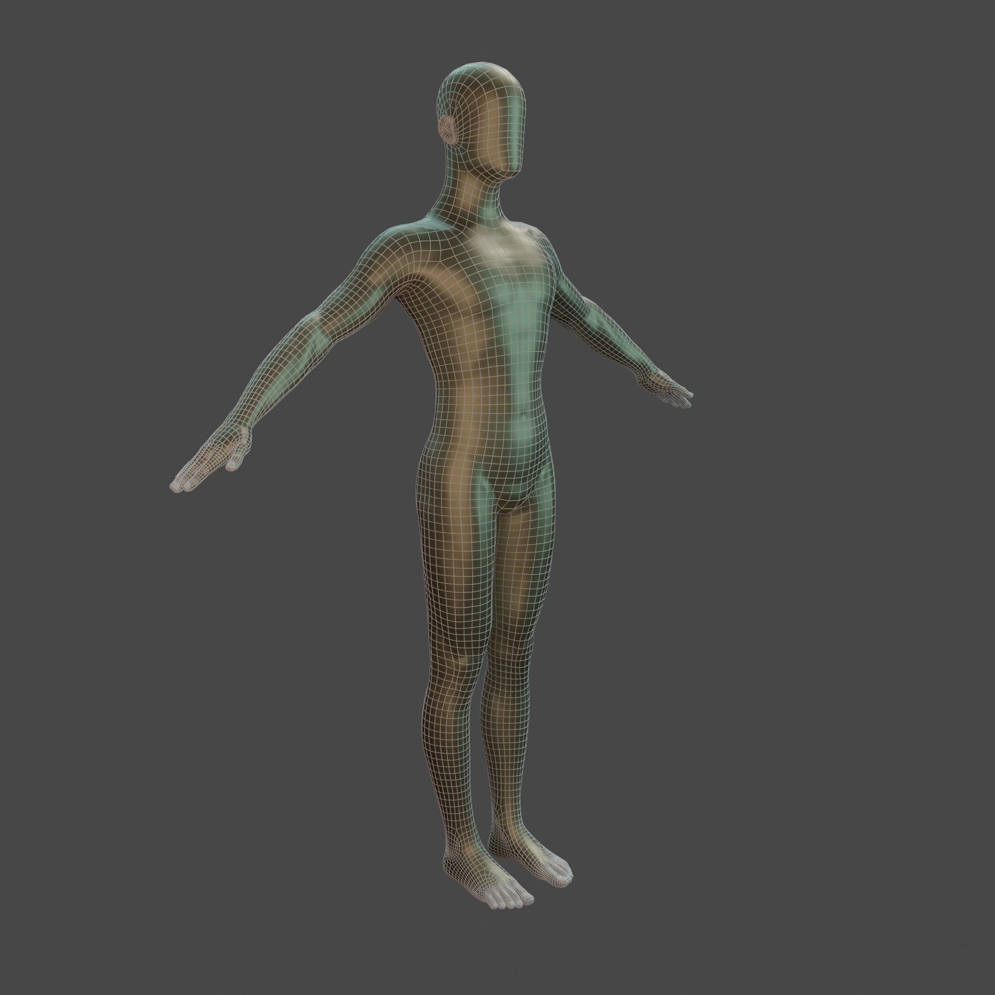 3D model Blender Rig Male Base Mannequin Set for Sculpting VR / AR ...