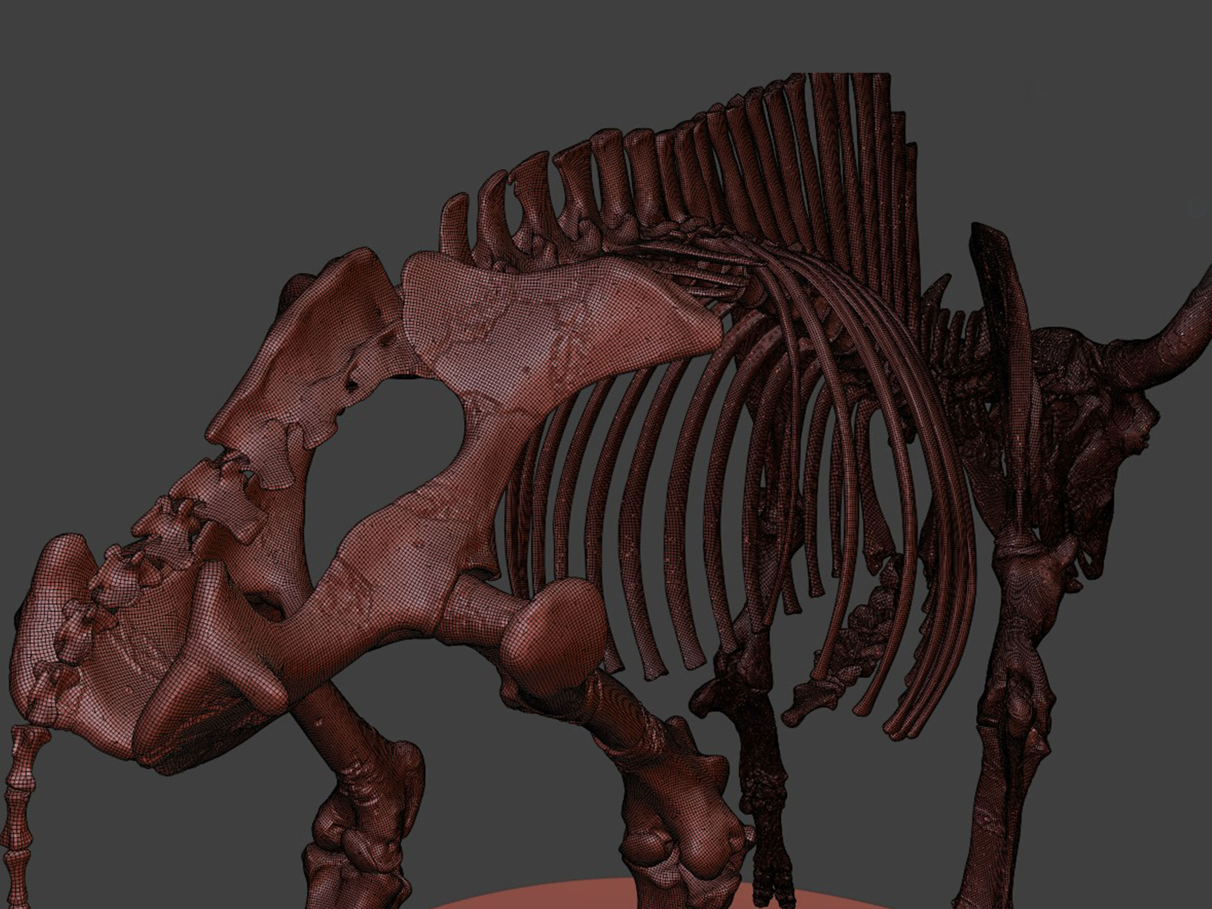 Bison Skeleton Concept Art Model 3D model | CGTrader