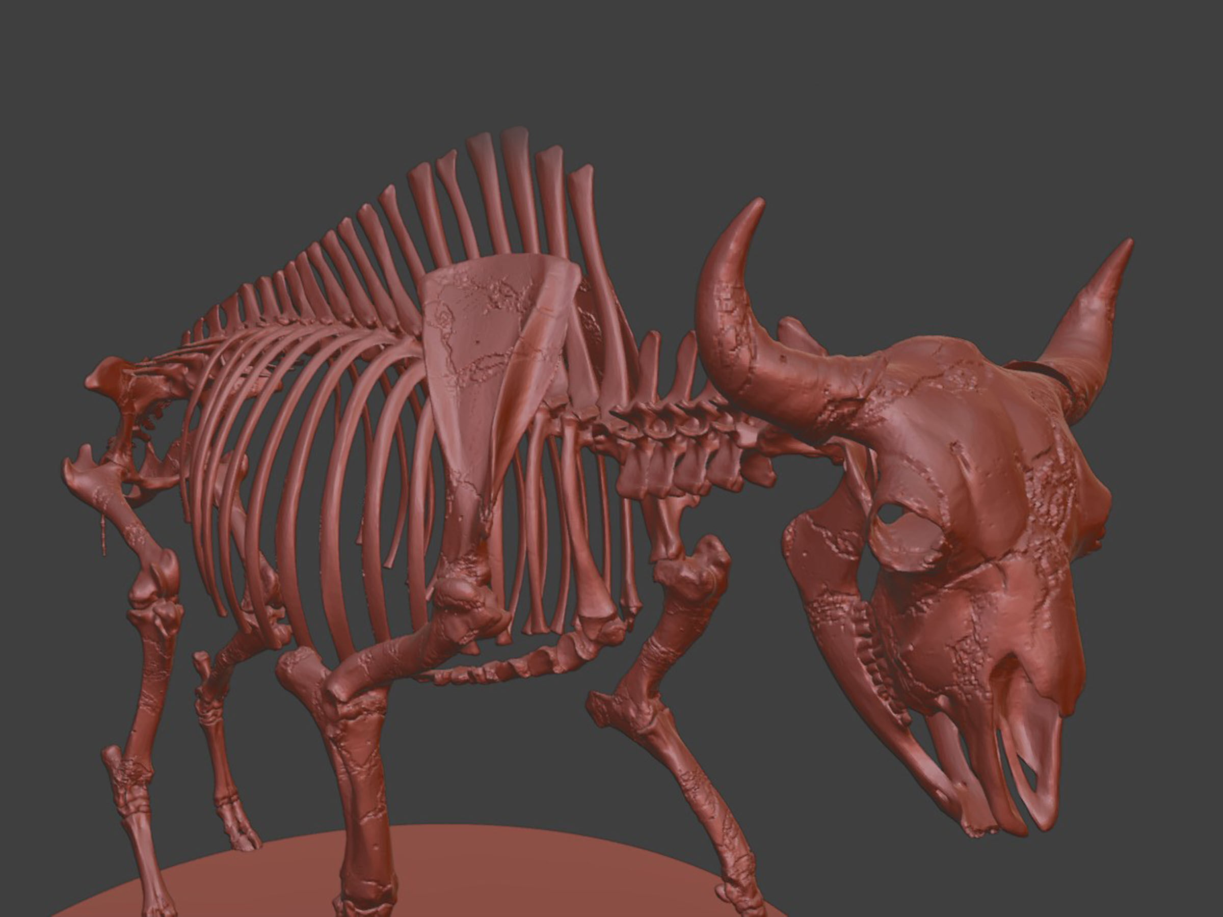 Bison Skeleton Concept Art Model 3D model | CGTrader