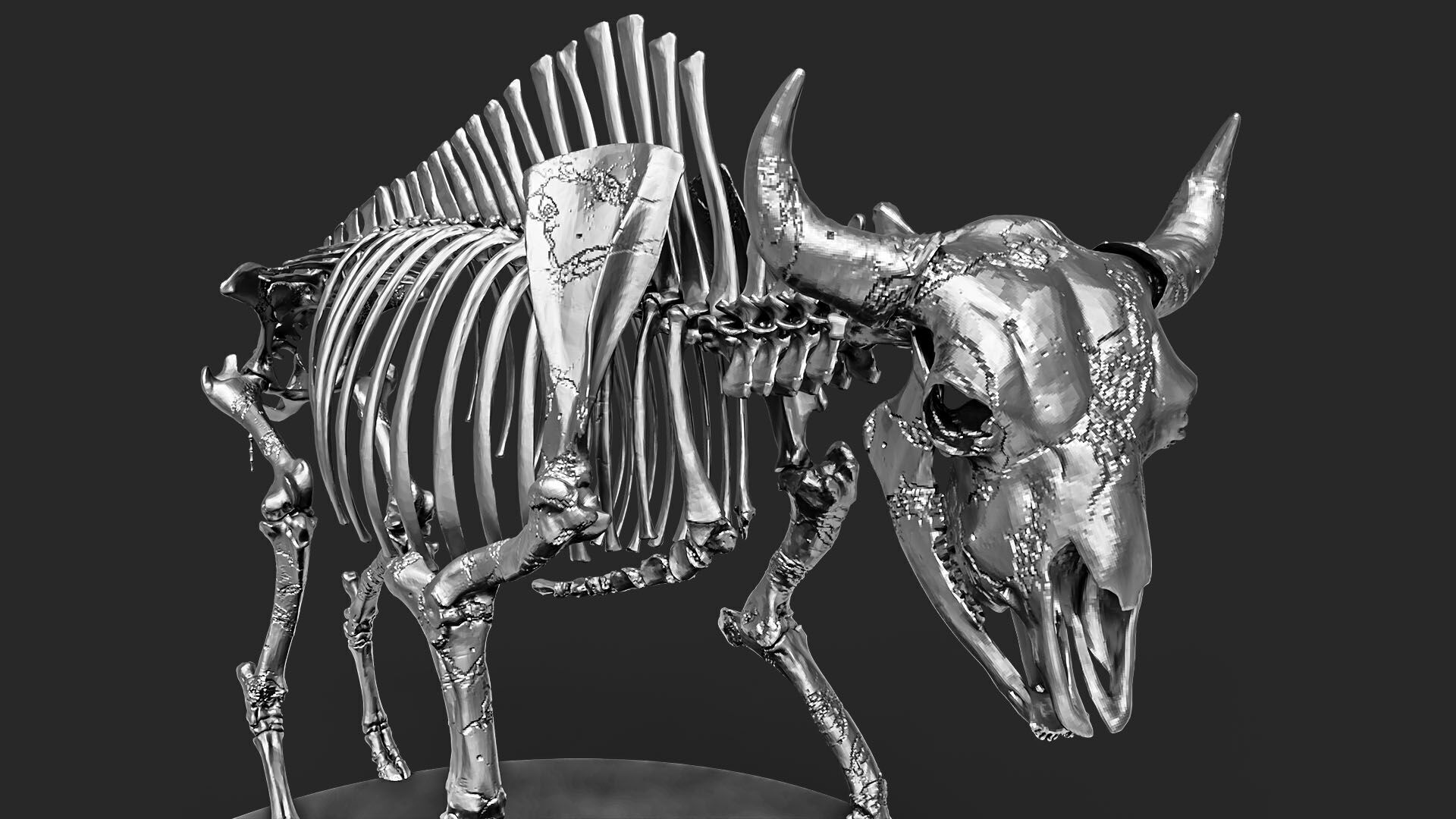 Bison Skeleton Concept Art Model 3D model | CGTrader