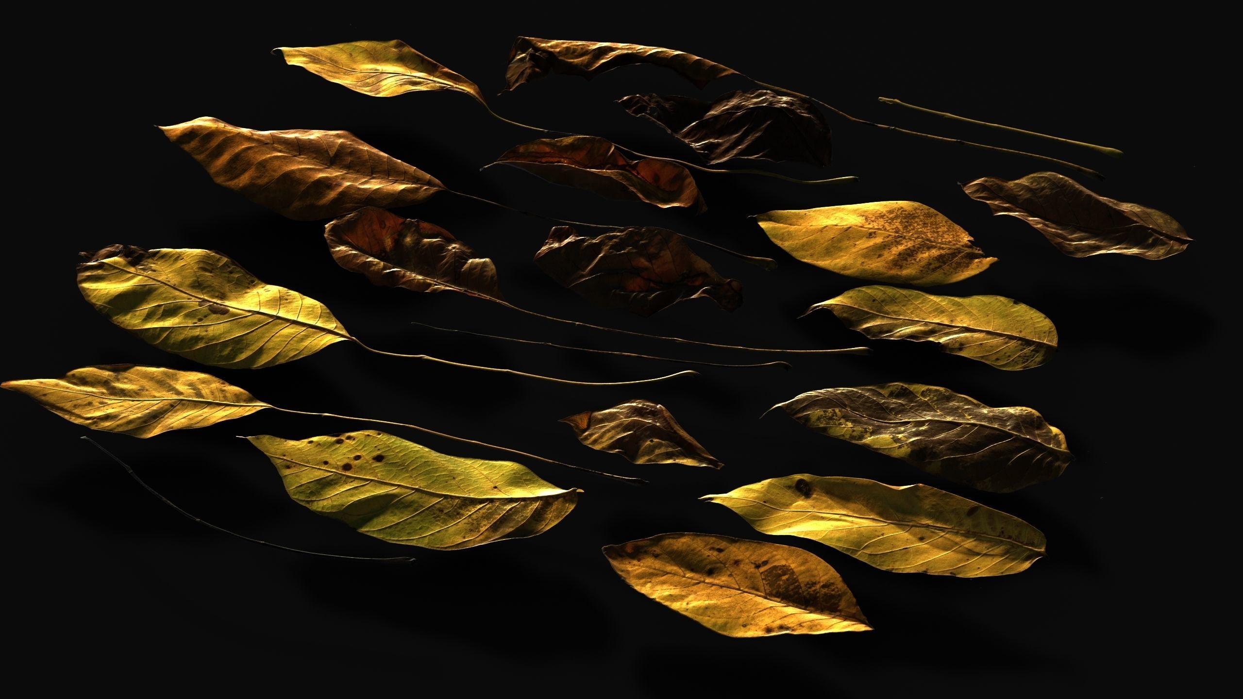 36 Foliage types- 32-16 bit 6K atlases - 325 textures Texture | CGTrader