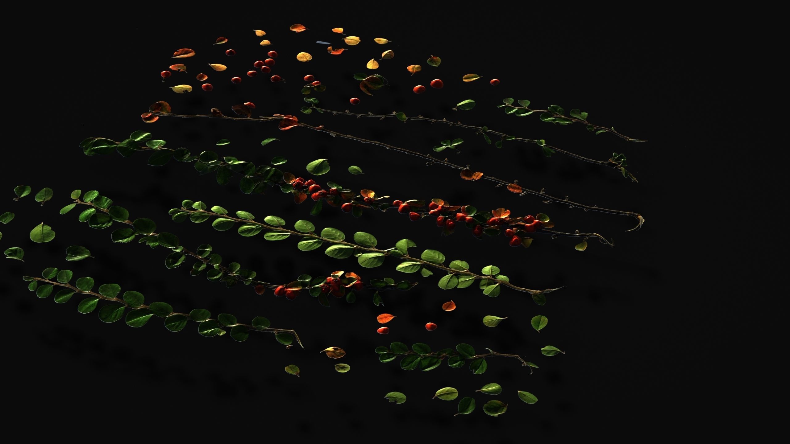 36 Foliage types- 32-16 bit 6K atlases - 325 textures Texture | CGTrader