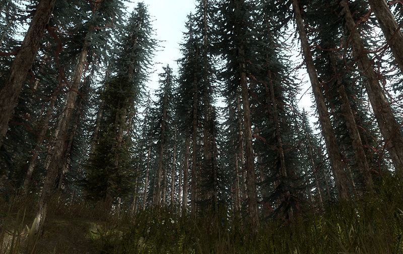 FREE Pine Trees Sample Model free 3D Model Game ready - CGTrader.com