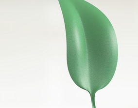 Leaf 3D Models | CGTrader