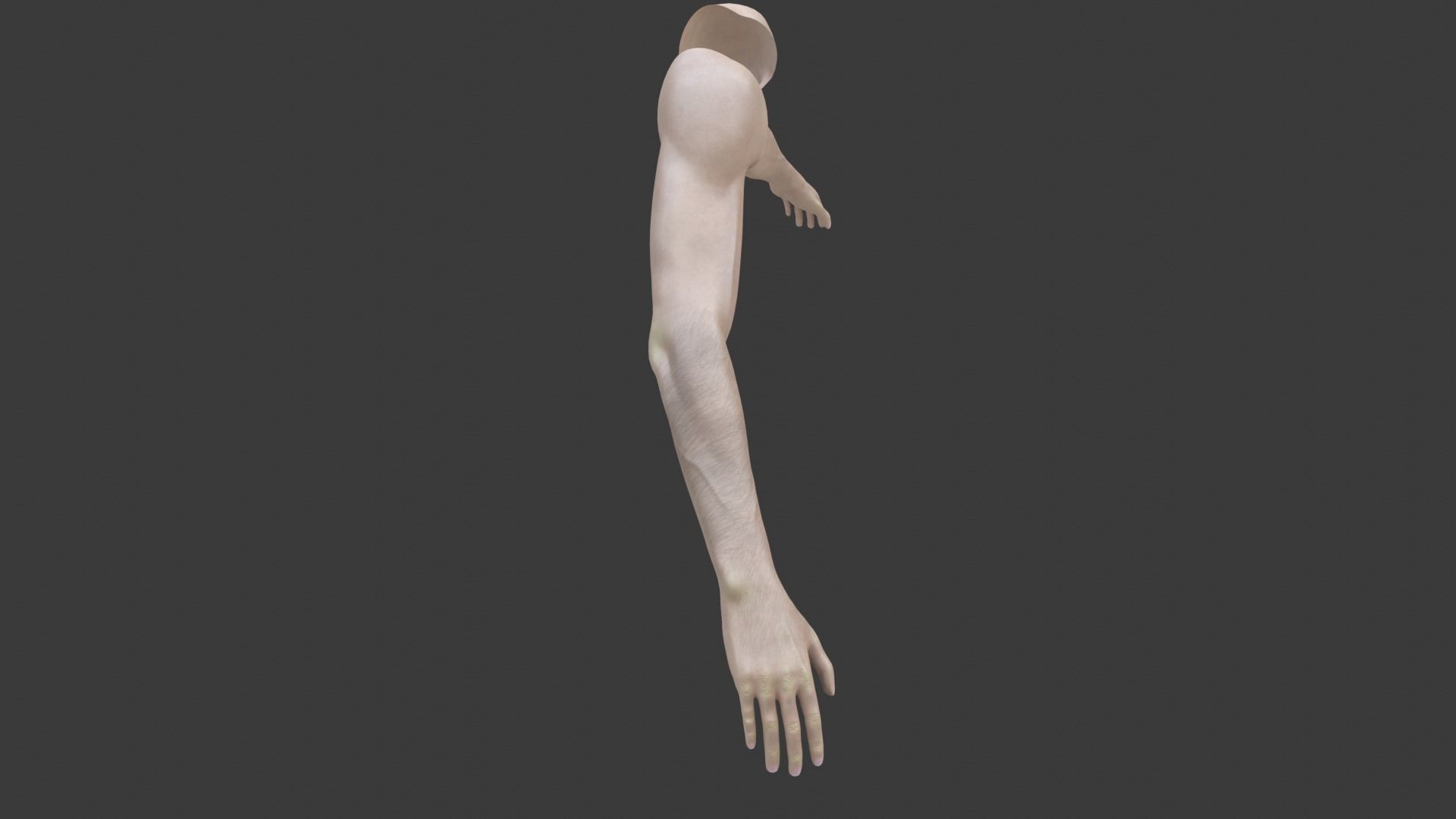 Game Ready FPS Arms free VR / AR / low-poly 3D model rigged | CGTrader