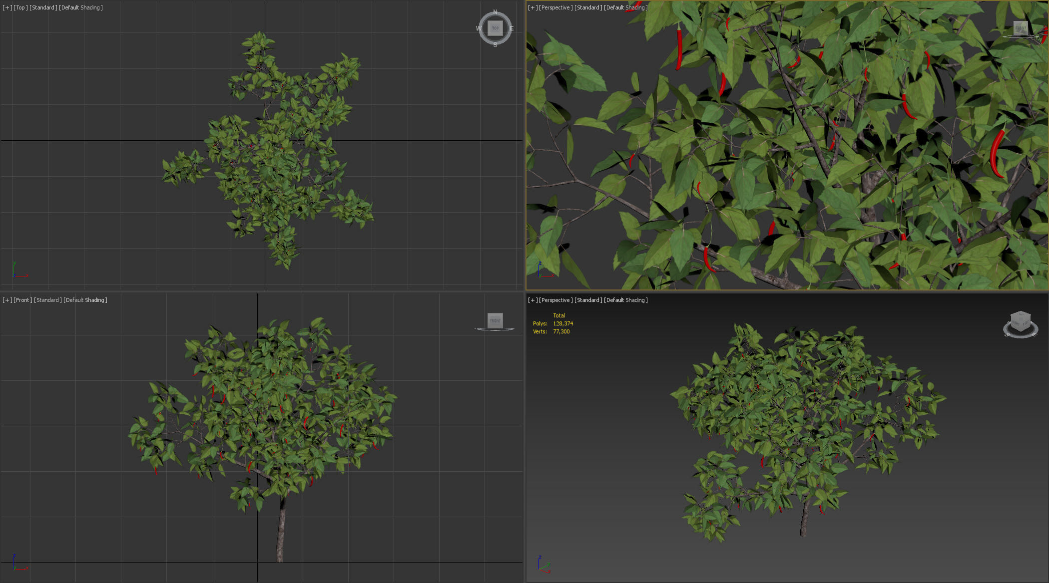 Capsicum annuum 3D Models Animation Loop 3D model animated | CGTrader