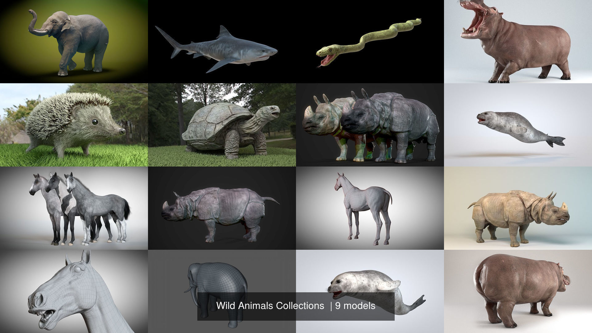 Wild Animals Collections VR / AR / low-poly | CGTrader