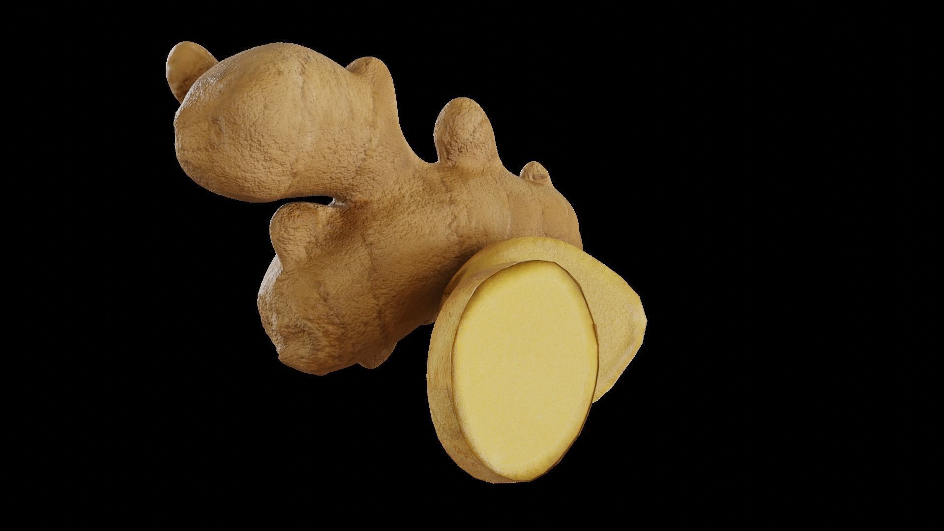 Ginger 3D model | CGTrader