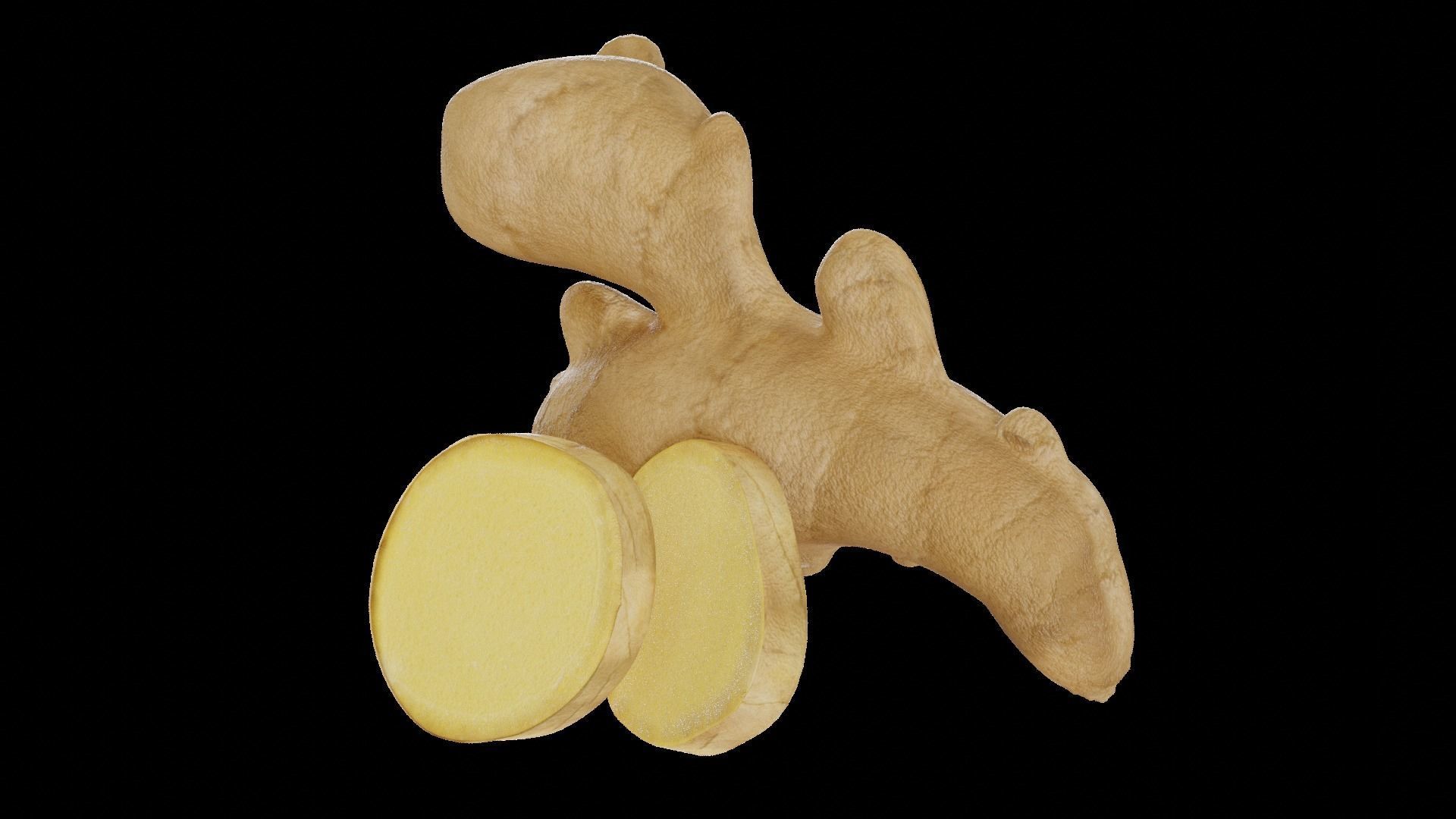 Ginger 3D model | CGTrader