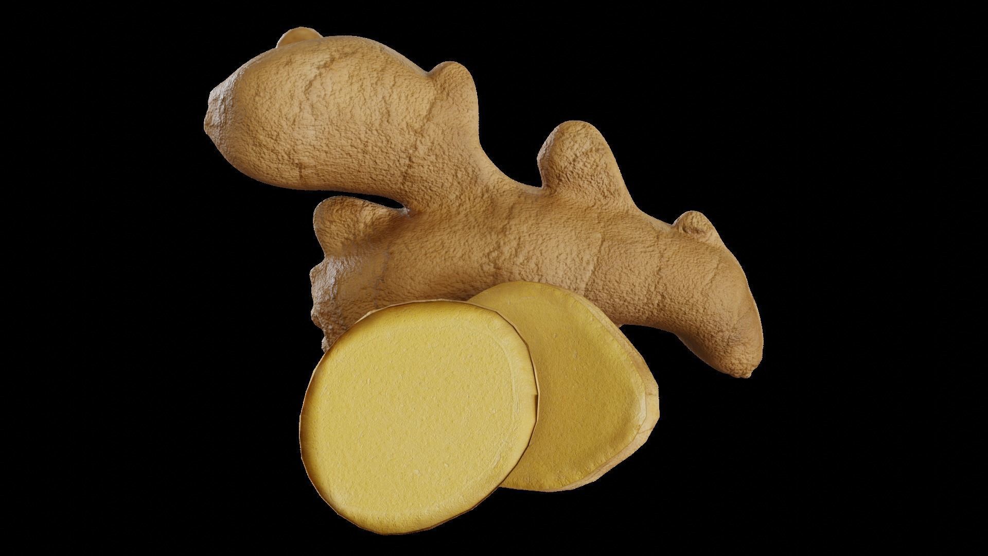 Ginger 3D model | CGTrader