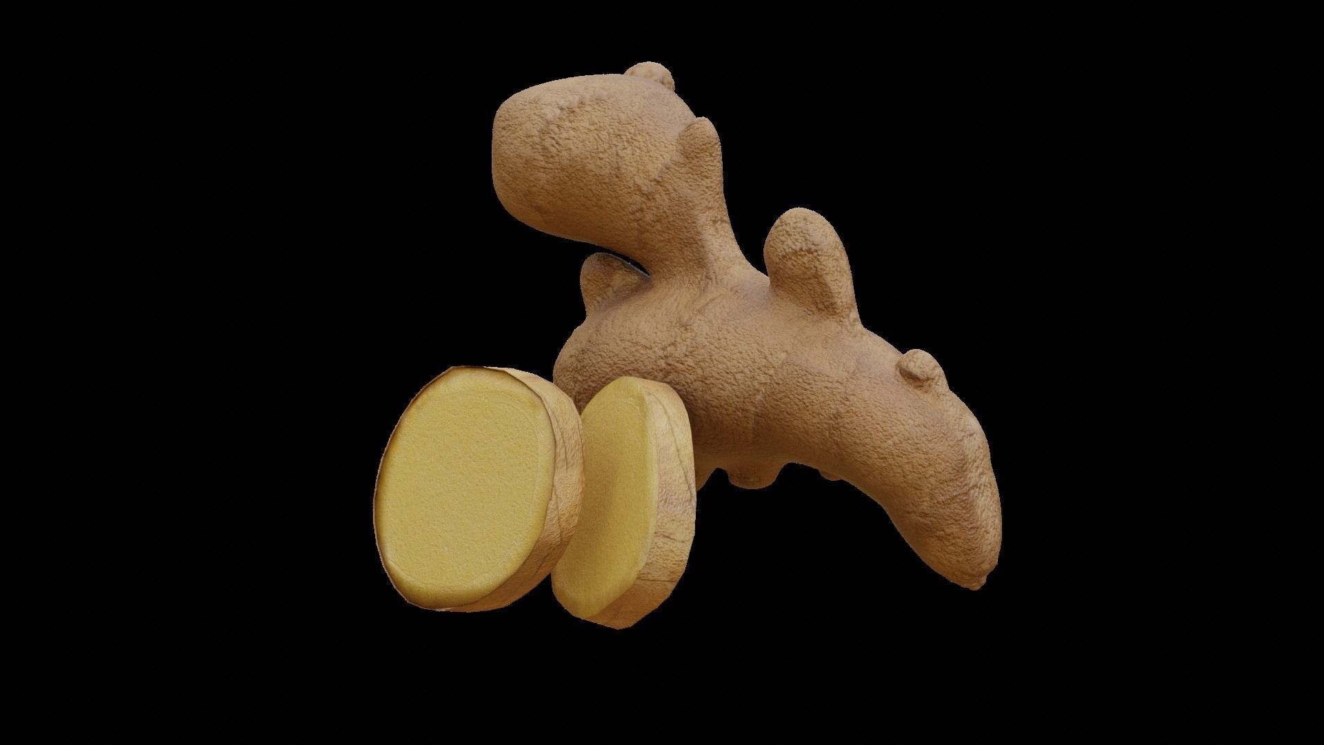 Ginger 3D model | CGTrader