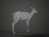 Springbok Animated 3D model animated rigged | CGTrader