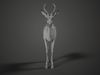 Springbok Animated 3D model animated rigged | CGTrader