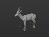 Springbok Animated 3D model animated rigged | CGTrader