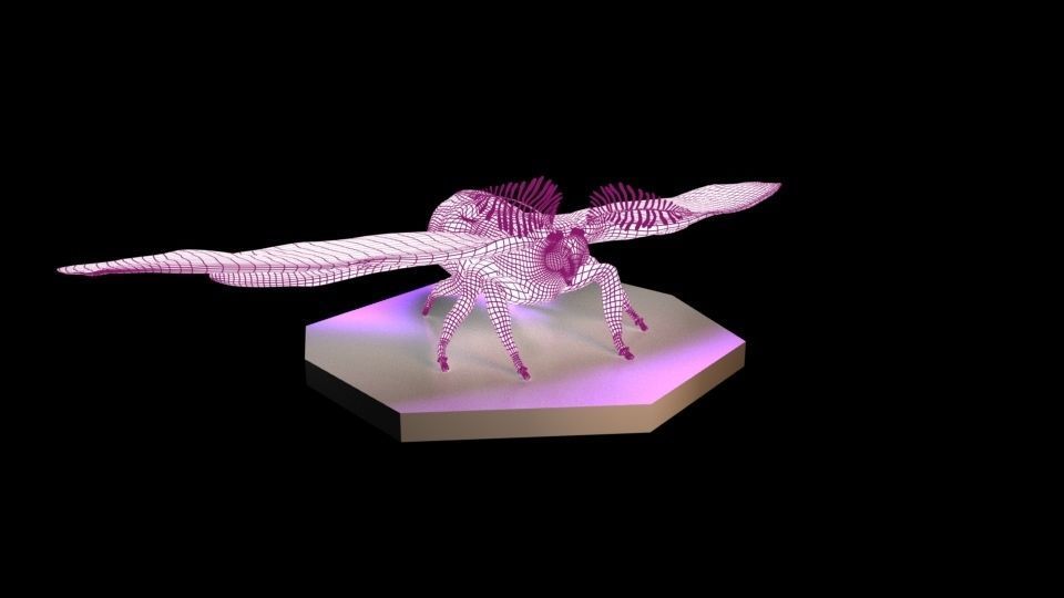 Moth 3D Model with long legs and wings free 3D model | CGTrader