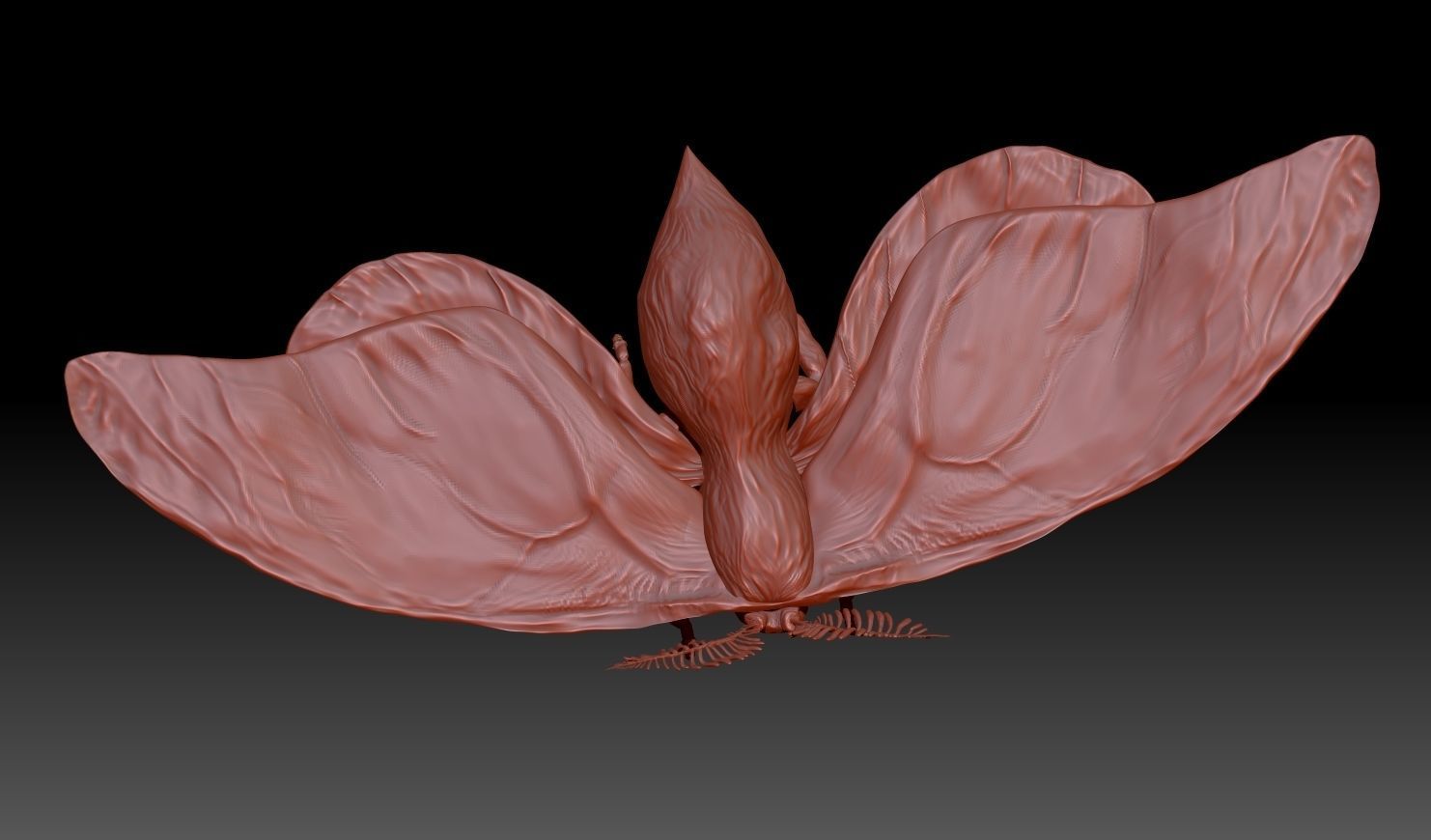 Moth 3D Model with long legs and wings free 3D model | CGTrader