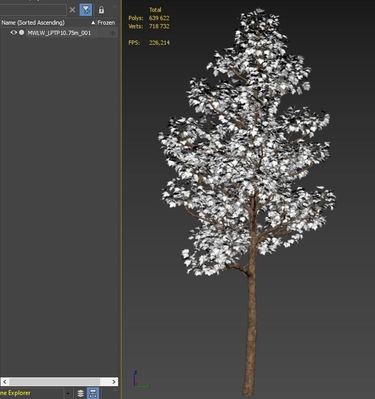Pollarded London planetree 11m 3D model | CGTrader