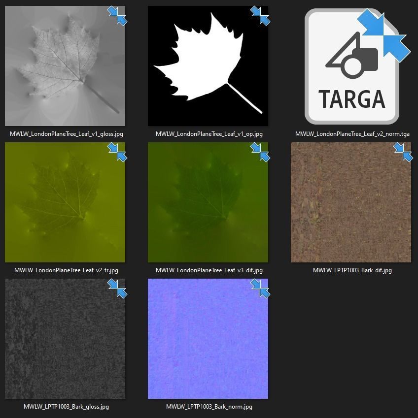 Pollarded London planetree 11m 3D model | CGTrader