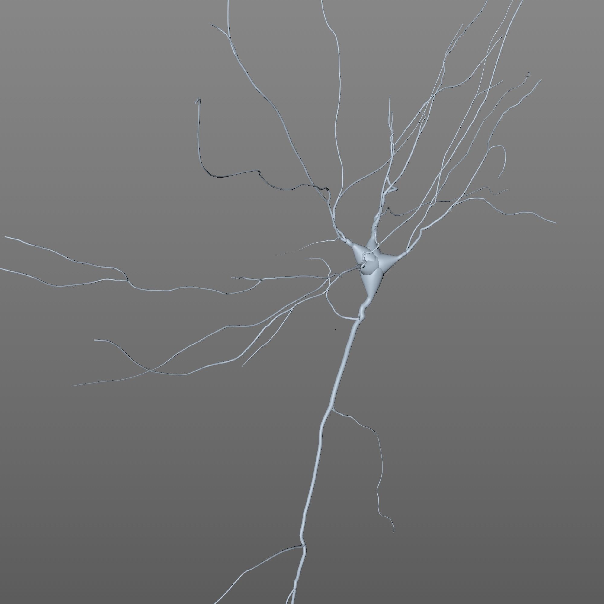 Set of 5 unique 3D Neuron Models-02 3D model animated | CGTrader
