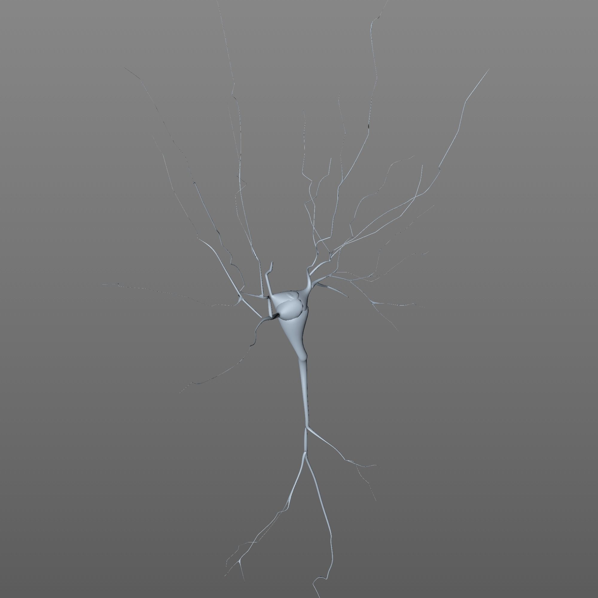 Set of 5 unique 3D Neuron Models-02 3D model animated | CGTrader