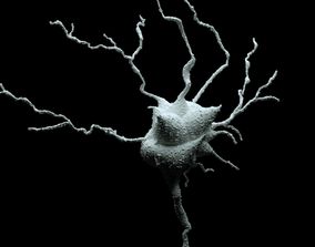Animated Axon 3D Models | CGTrader