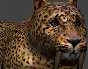 Sabertooth 3D Models | CGTrader