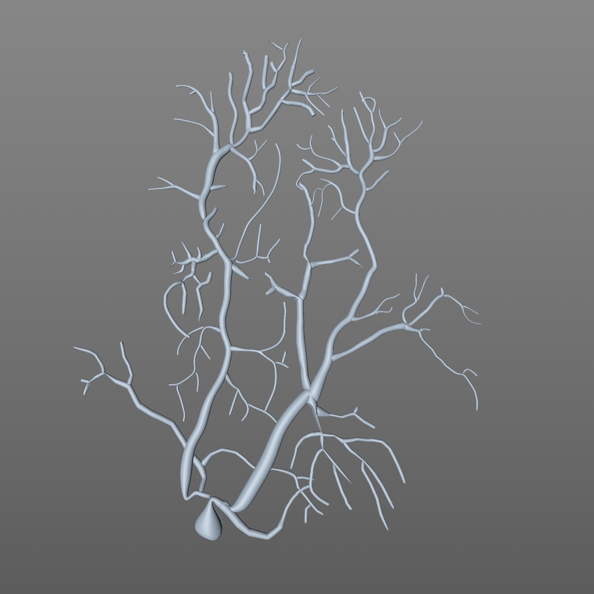 Set of 5 unique 3D Neuron Models-03 3D model animated | CGTrader
