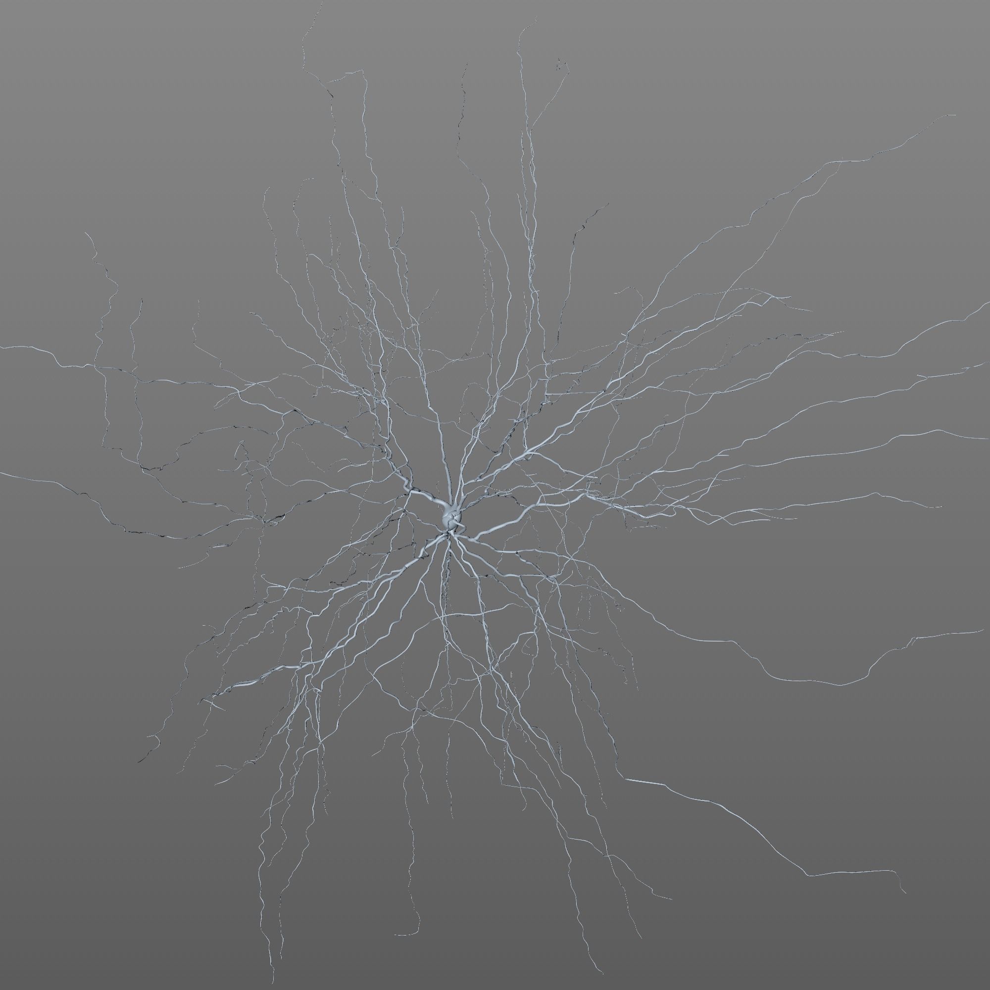 Set of 5 unique 3D Neuron Models-03 3D model animated | CGTrader