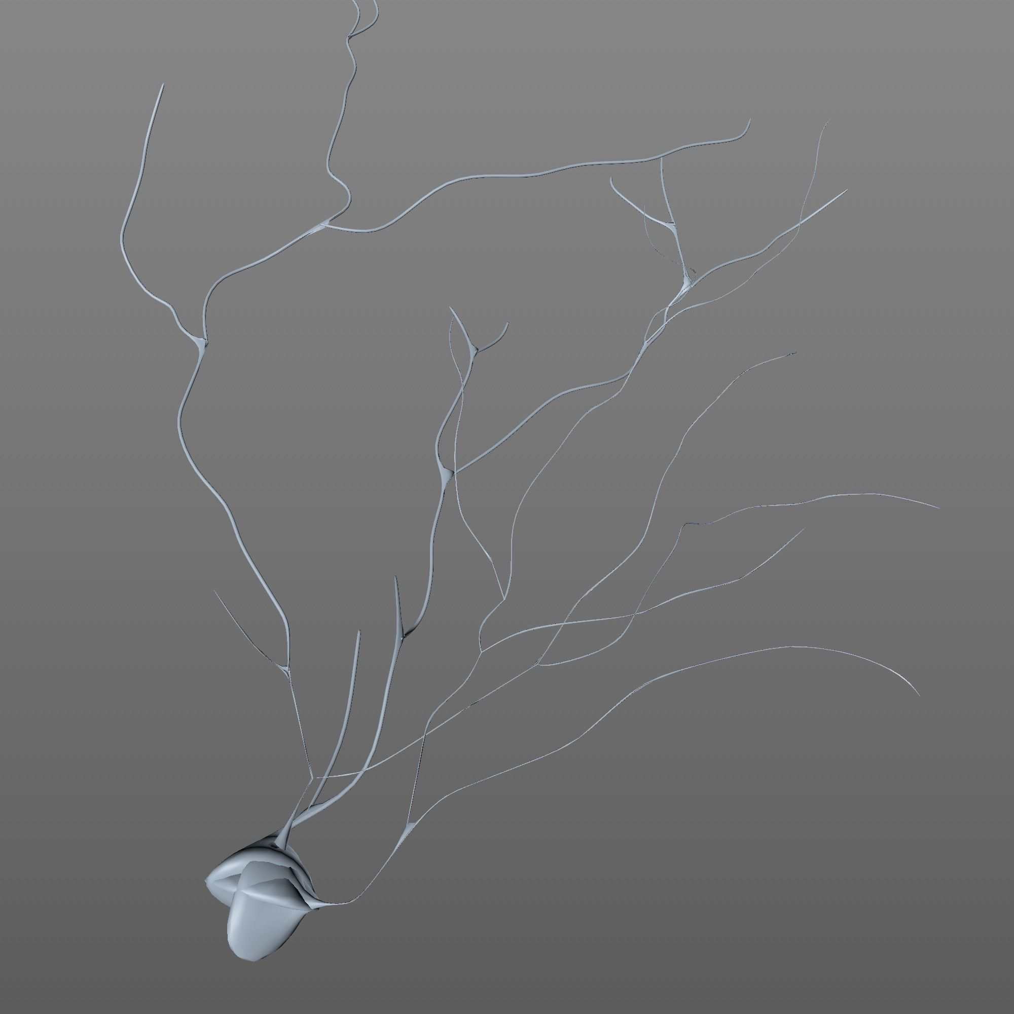 Set of 5 unique 3D Neuron Models-03 3D model animated | CGTrader