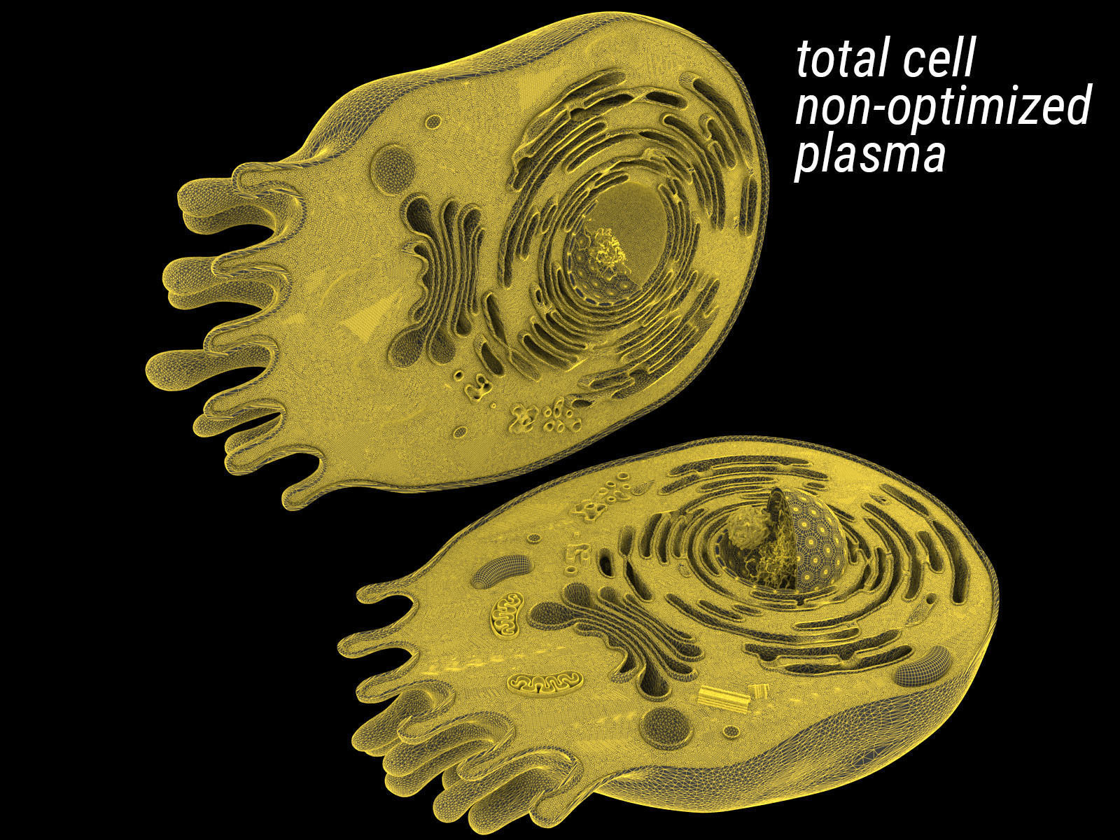 Animal Cell 3D Blender 3D model animated | CGTrader