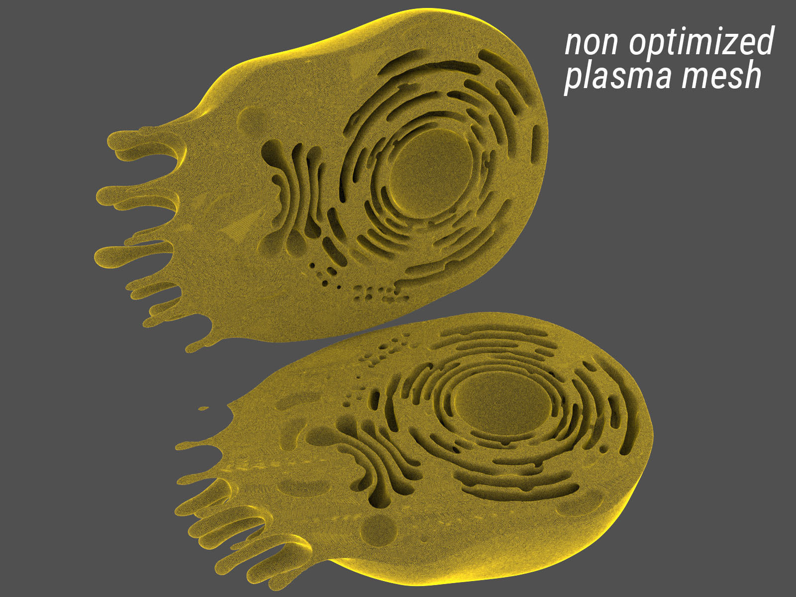 Animal Cell 3D Blender 3D model animated | CGTrader